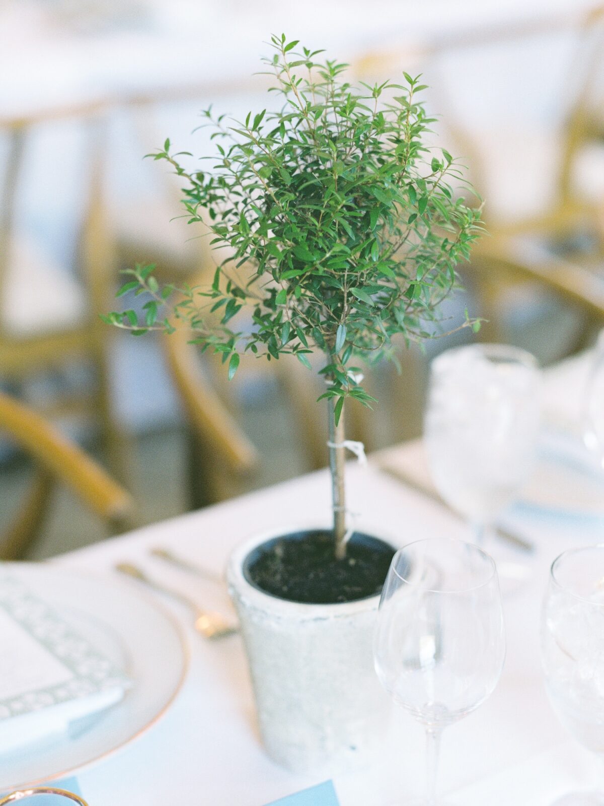 Post House Inn Rehearsal Dinner: Lea and Grant - sarahnannphotography.com