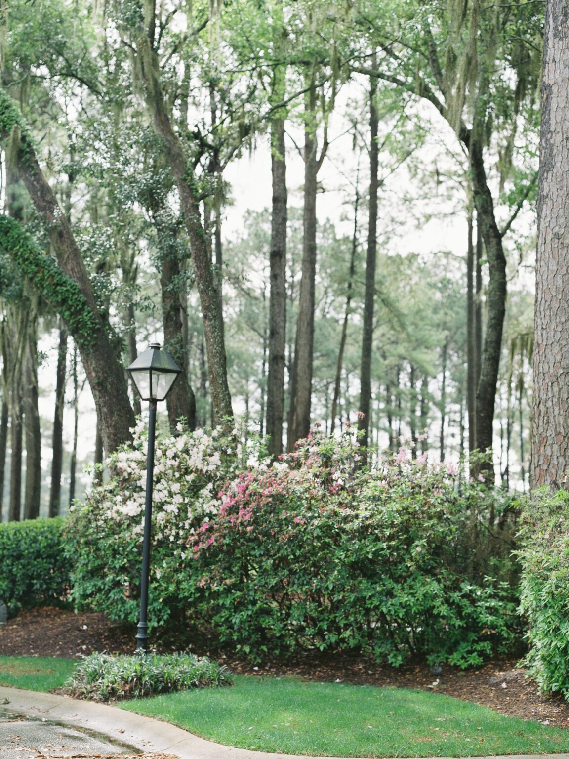 Belfair Weddings: Mackenzie & Jake - sarahnannphotography.com
